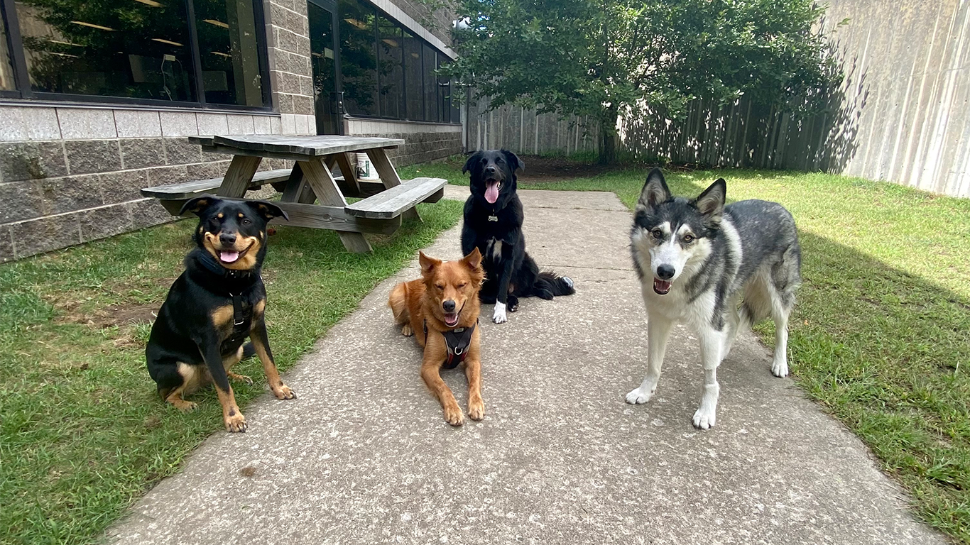 Careers | Associated Environmental Systems